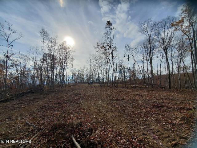 Bull Creek Rd S/0, Huntsville, TN 37756