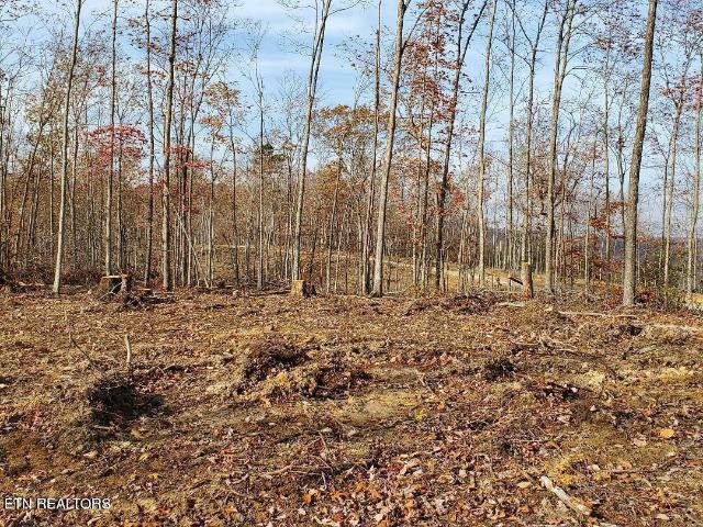 Bull Creek Rd S/0, Huntsville, TN 37756