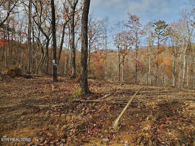 Bull Creek Rd S/0, Huntsville, TN 37756