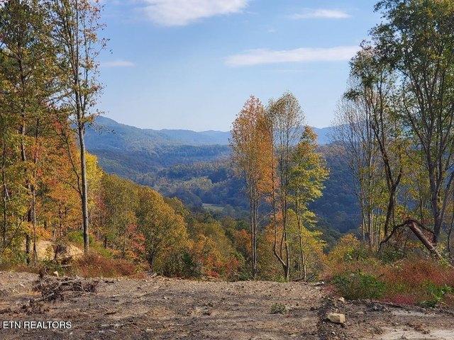 Bull Creek Rd # S & 0, Huntsville, TN 37756