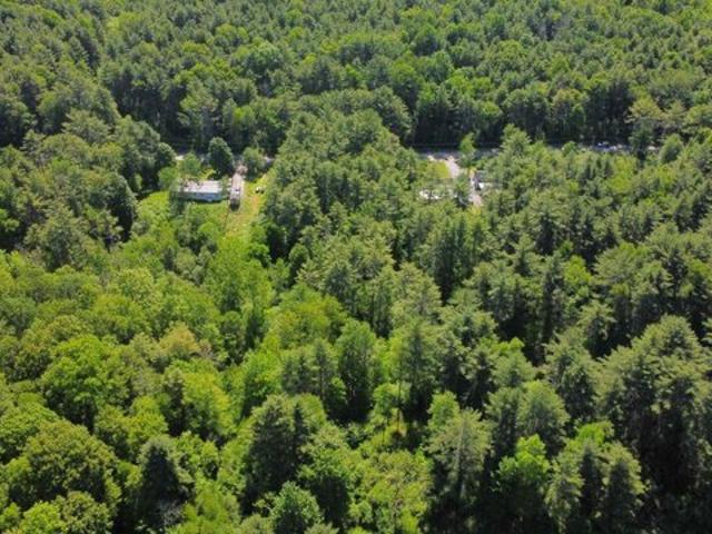 Bull Frog Hollow Rd, Wells, Plot For Sale