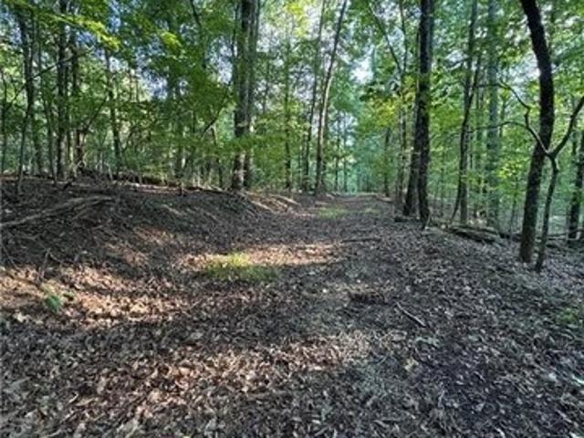 Bull Gap Rd, Talking Rock, GA 30175