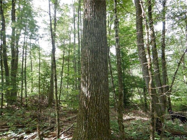 Bull Hill Rd, Newfield, NY 14867