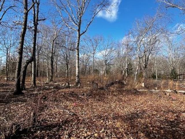 Bull Run, Beechgrove, TN 37018