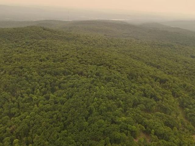 Burt Hill Rd, Winchester, NH 03455