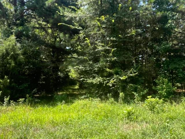 Burton Road, Senatobia, MS 38668