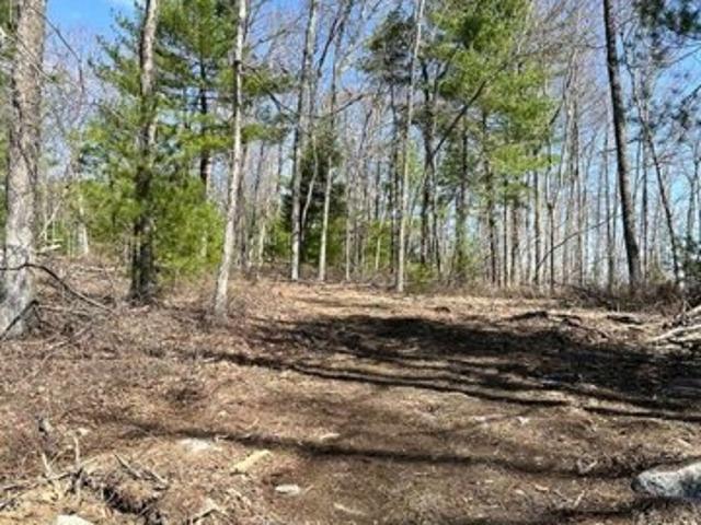Burbank Rd Lot,sutton, Plot For Sale