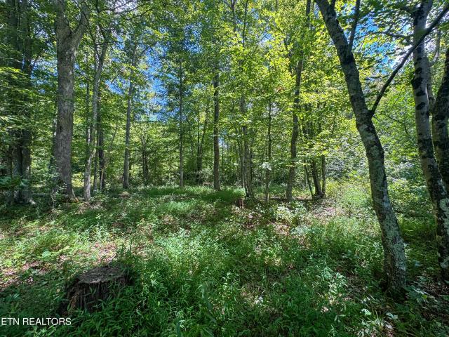 Burch Lane, Winfield, TN 37892
