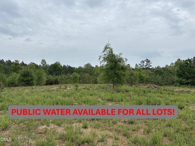 Burchette Rd Lot 1, Manson, NC 27553