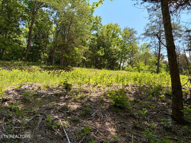 Burchfiel Way, Sevierville, TN 37876