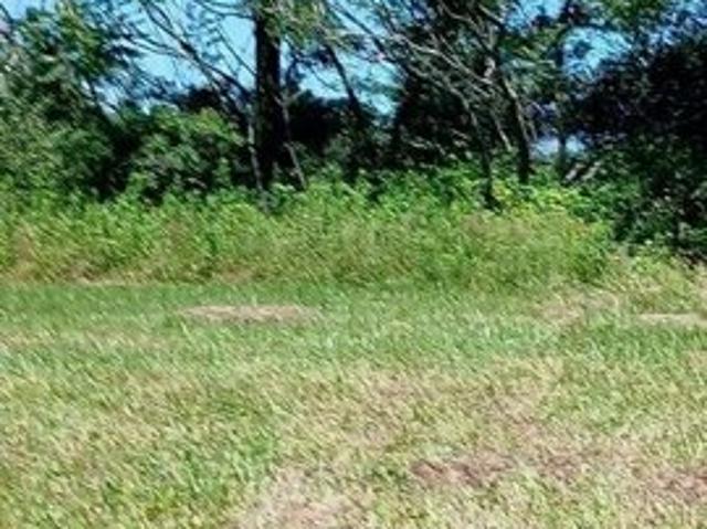 Burfield Rd Lot B, Osceola, Plot For Sale