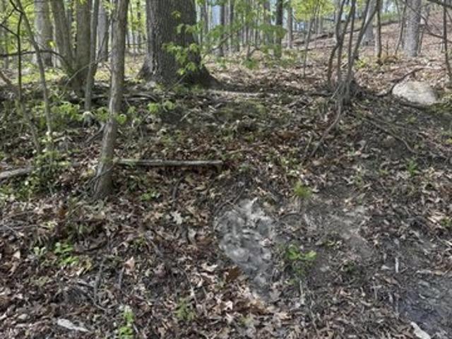 Burgoon Rd, East Stroudsburg, PA 18301