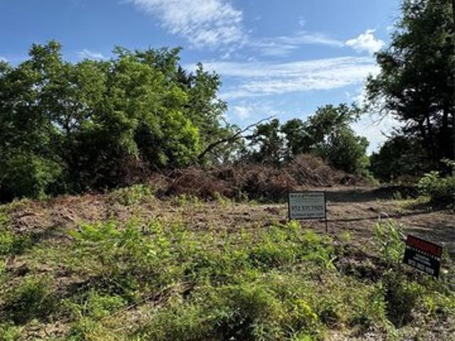 Burke Rd, Gunter, TX 75058