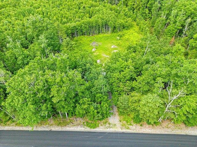 Burkettville Rd, Appleton, ME 04862