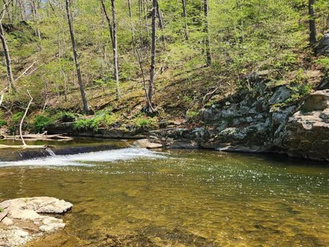 Burkittsville Rd, Middletown, MD 21769