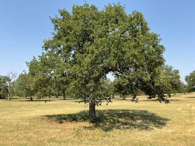 Burleson TX 76028 101012040