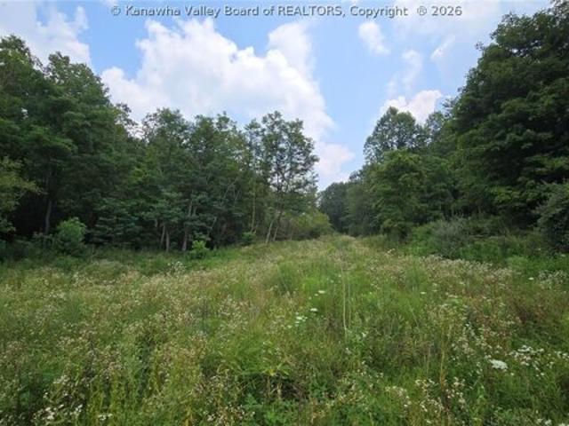 Burnem Run Rd, Sandyville, Plot For Sale