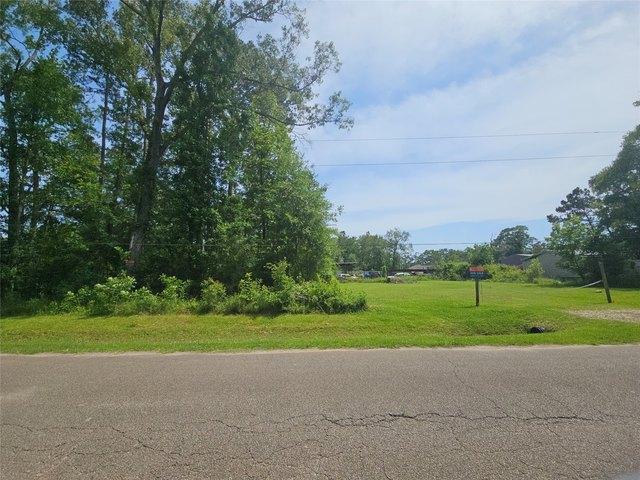 Burning Tree Ln, New Caney, TX 77357