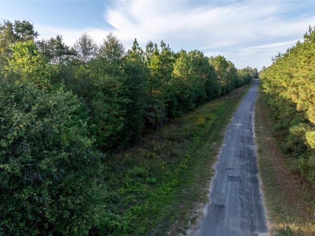 Burns Clark Rd, Singer, LA 70660 | MLS #SWL25101
