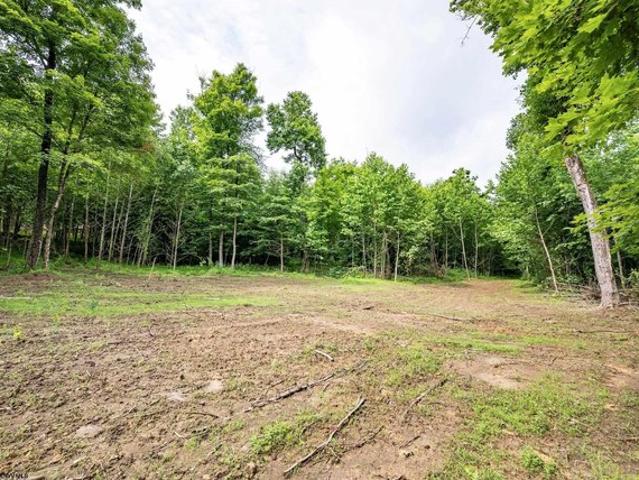 Burnt Cabin Rd Lot 2, Fairmont, WV 26554