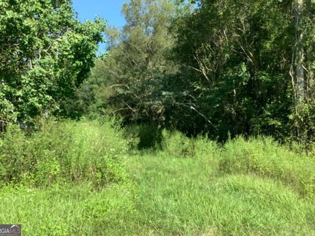 Burnt Fort Rd Lot 62, White Oak, GA 31568
