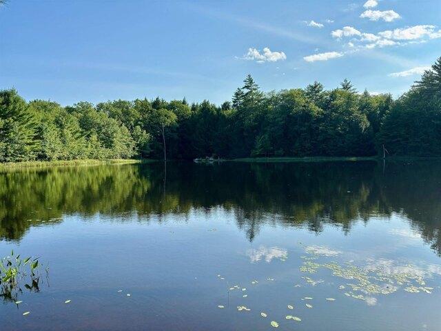 Burnt Hill Rd, Warner, Plot For Sale