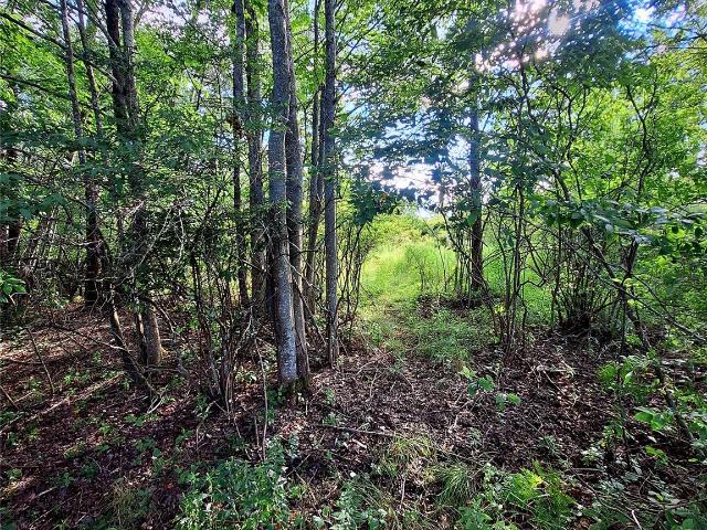Burnt Ridge Road