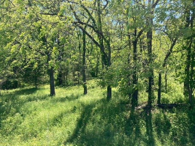 Burr Oak Rd, Carthage, MO 64836