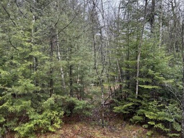 Burr Ln, Bowdoin, Plot For Sale