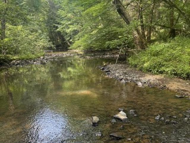 Burrville Rd Lot 12, Sunbright, TN 37872