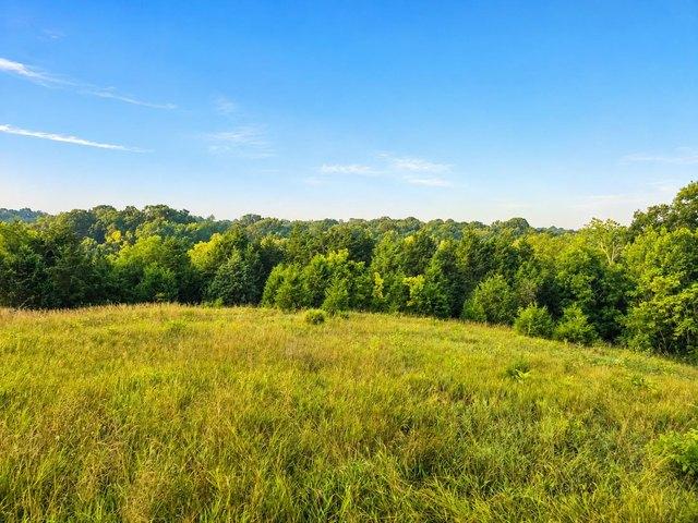 Bursot Rd, Vevay, IN 47043