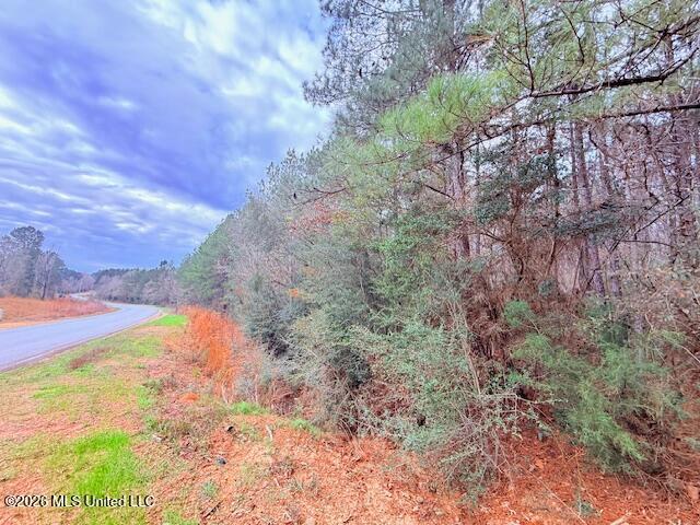 Busy Corner Road, Gloster, MS 39638