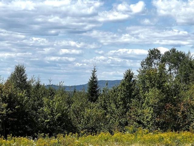 Bushey Rd, Greenville, Plot For Sale