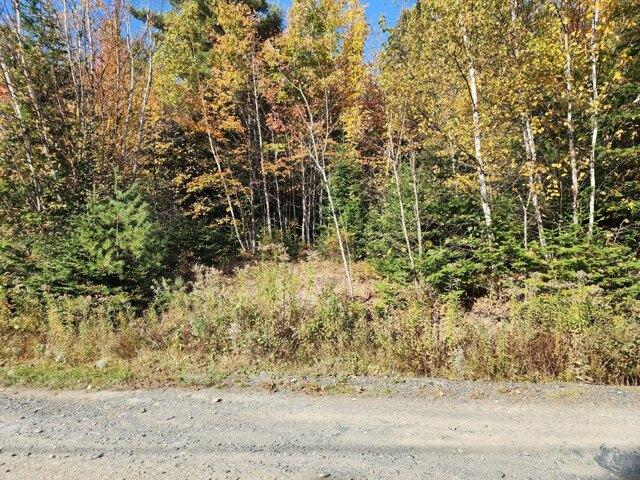 Bushey Rd Lot, Greenville, Plot For Sale