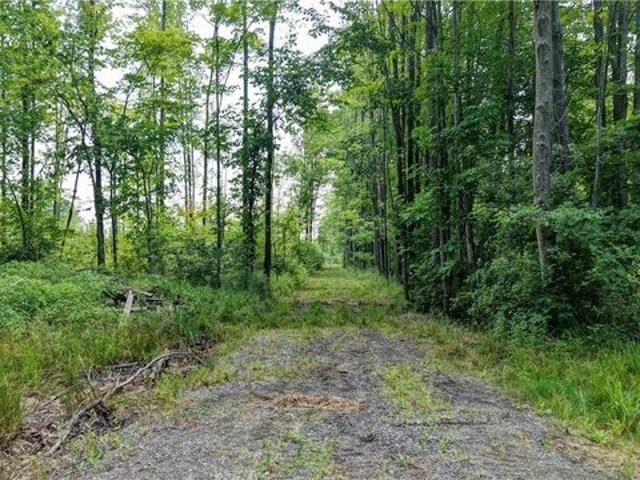 Bushnell Campbell, Kinsman, OH 44428