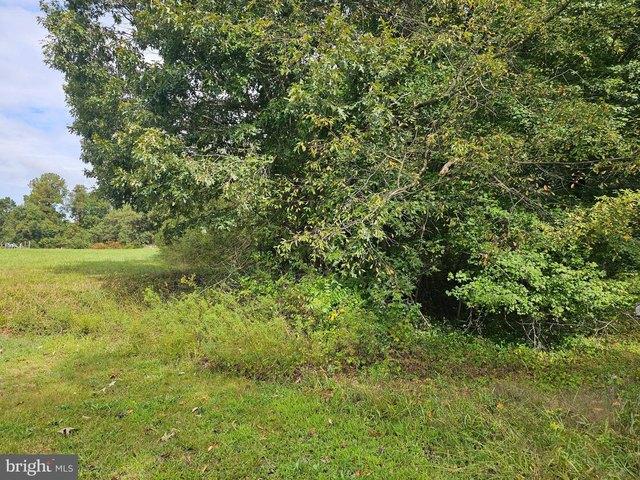 Bushwood, MD 20618