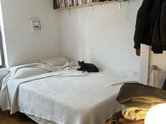BUSHWICK Lease Takeover May 1st 1bd in 2bd/1ba