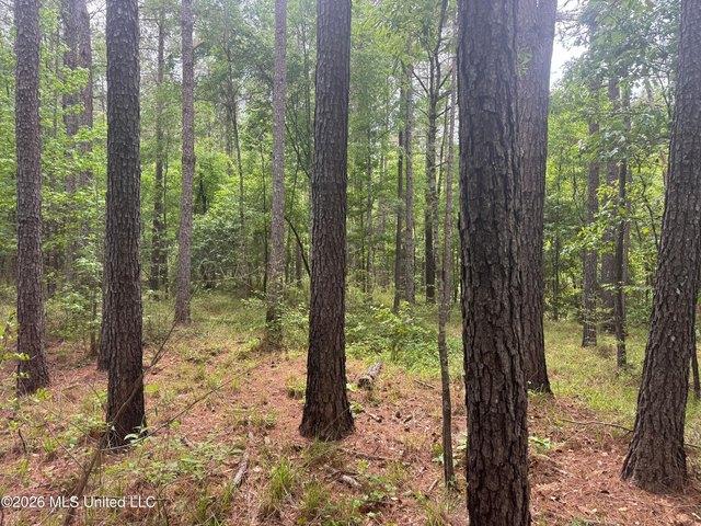 Bushtown Rd, Pinola, MS 39149