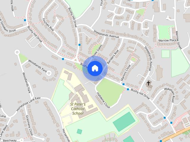 Bushy Hill Drive, Guildford