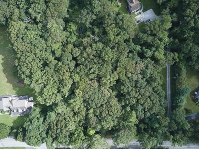 Bushy Hill Rd, Essex, Plot For Sale