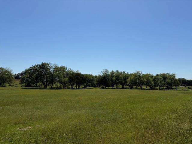 Business Highway 377, Whitesboro, TX 76273