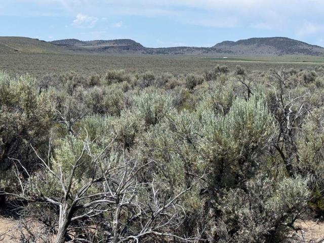 Butte Valley Road # 500