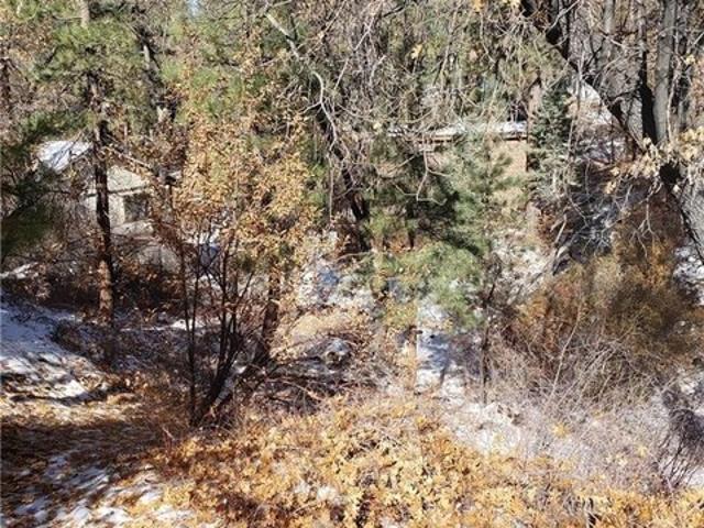 Butte Ave, Big Bear, CA 92314