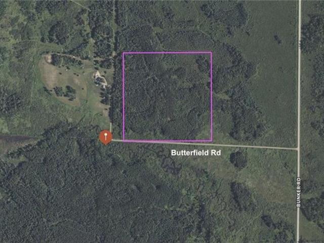 Butterfield Rd, Hibbing, MN 55746