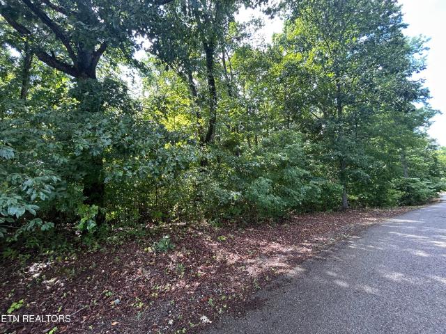 Butterfly Cove Tr Lot 92, Decatur, TN 37322