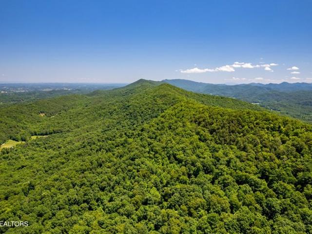 Butterfly Gap Rd, Maryville, TN 37803