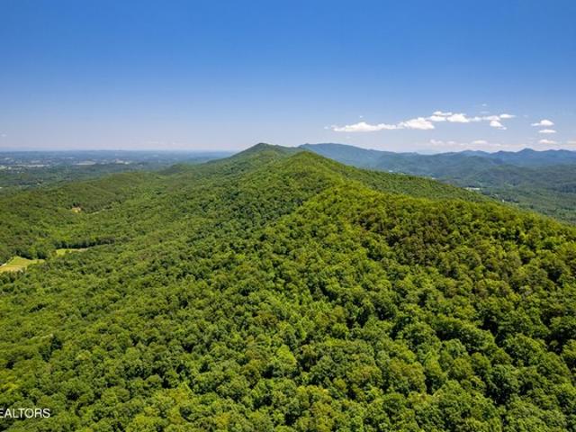 Butterfly Gap Rd, Maryville, TN 37803