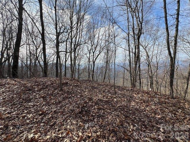 Butterfly Path Lot 24/26, Bryson City, NC 28713