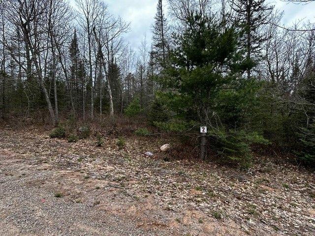 Butternut Cir Lot 2, Eagle River, WI 54521