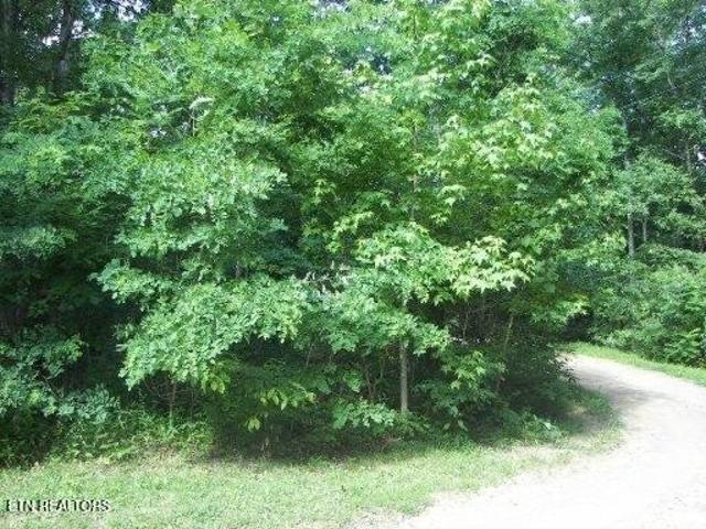 Butternut Ln Lot 30, Sevierville, TN 37876